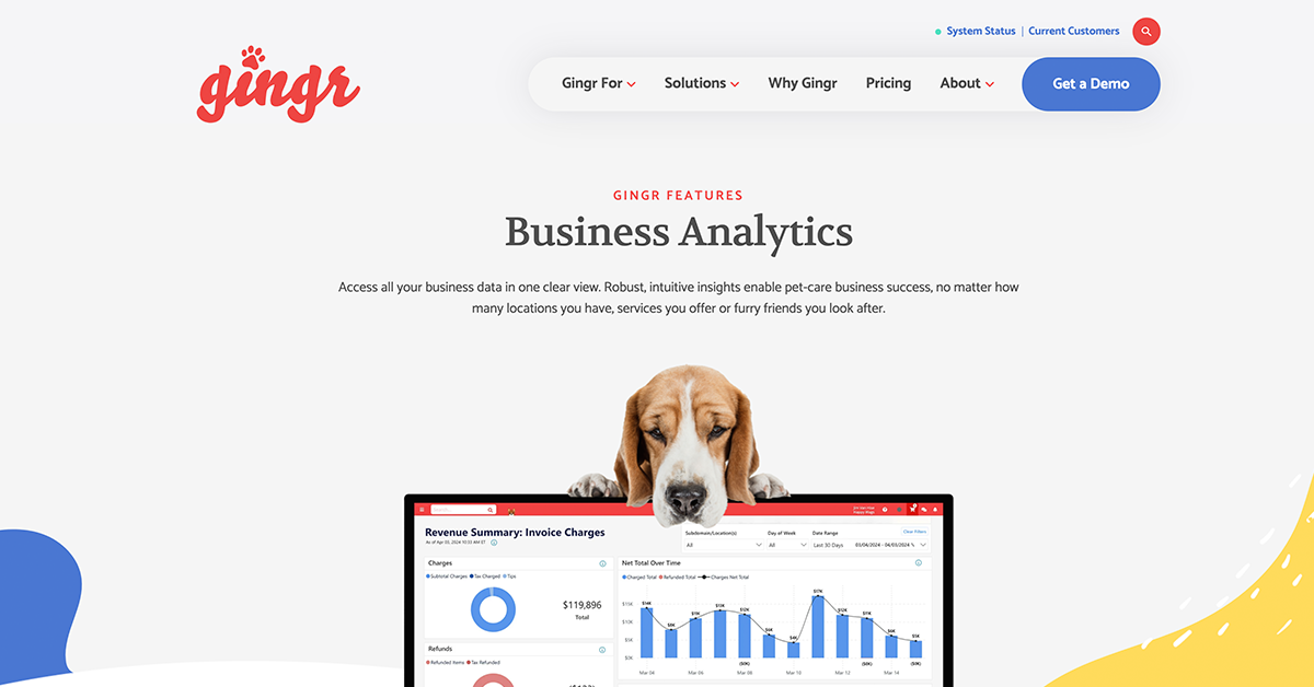 Analyze Performance With Pet Business Analytics | Gingr